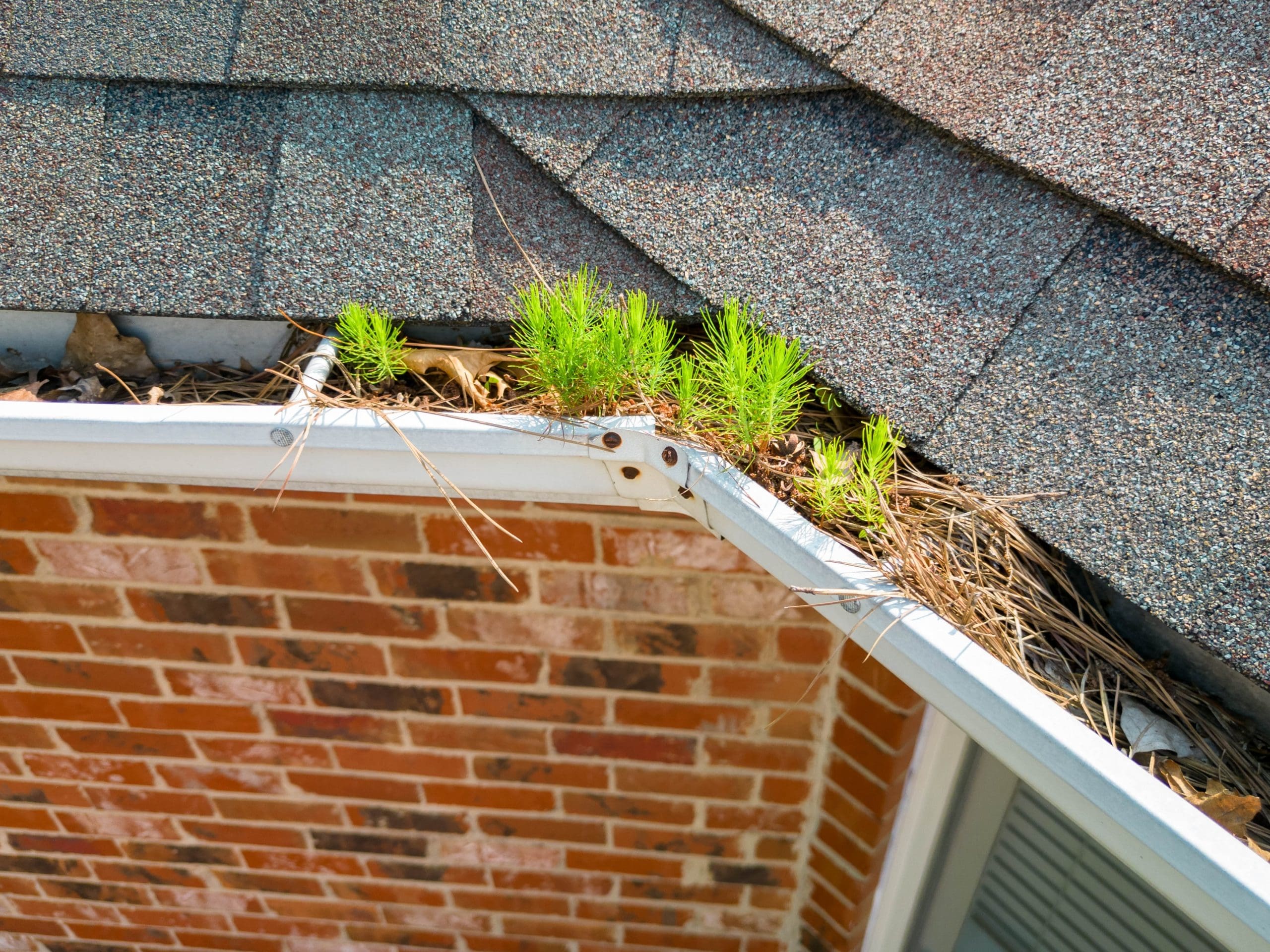 6 SIGNS THAT YOUR GUTTERS ARE CLOGGED